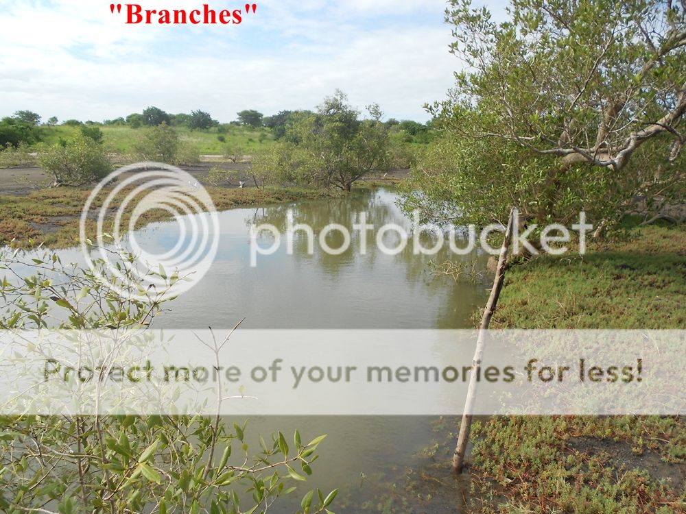 Saldanha (Tembe River)