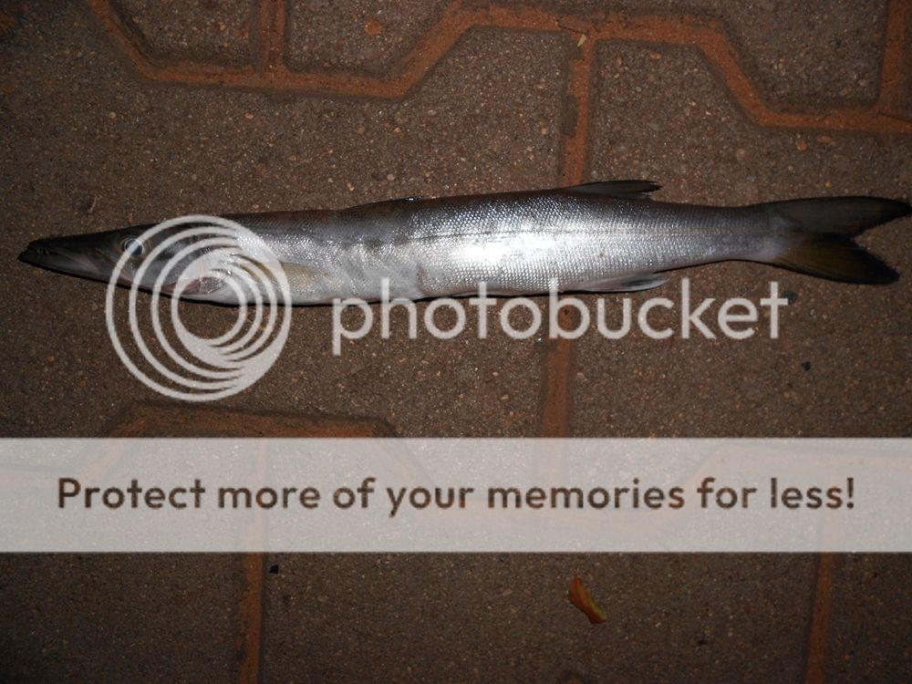 Saldanha (Tembe River)