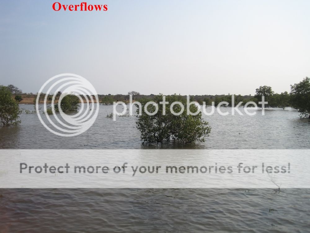 Saldanha (Tembe River)