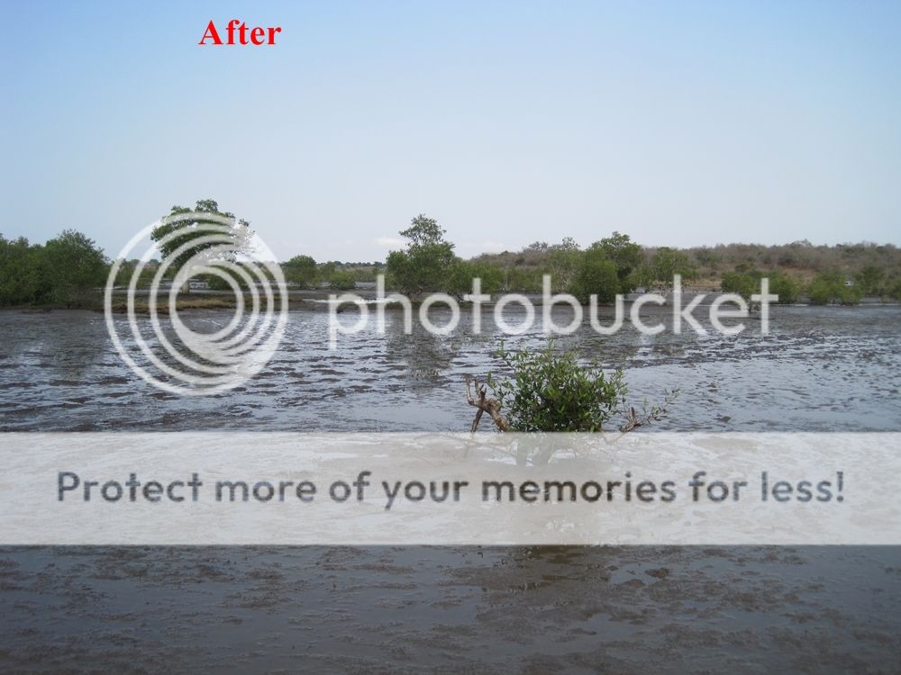 Saldanha (Tembe River)