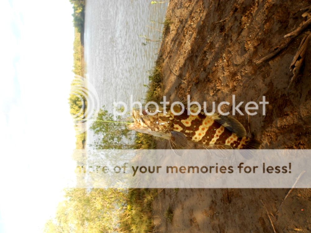 Saldanha (Tembe River)