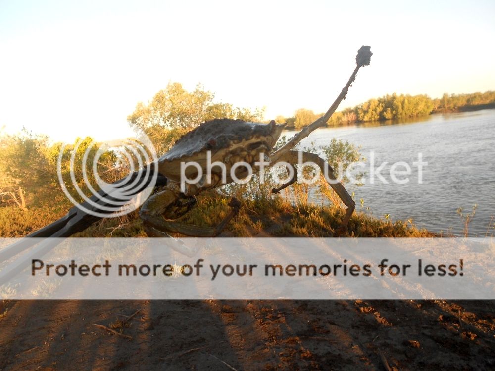 Saldanha (Tembe River)